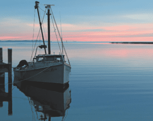 A Place Called Guinea | Virginia Living