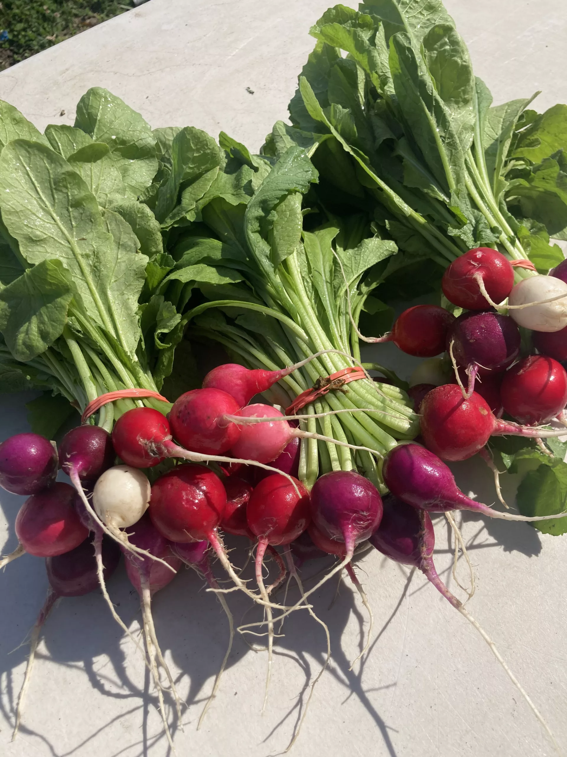 Celeste Farms Takes Farm-to-Table to a New Level | Virginia Living