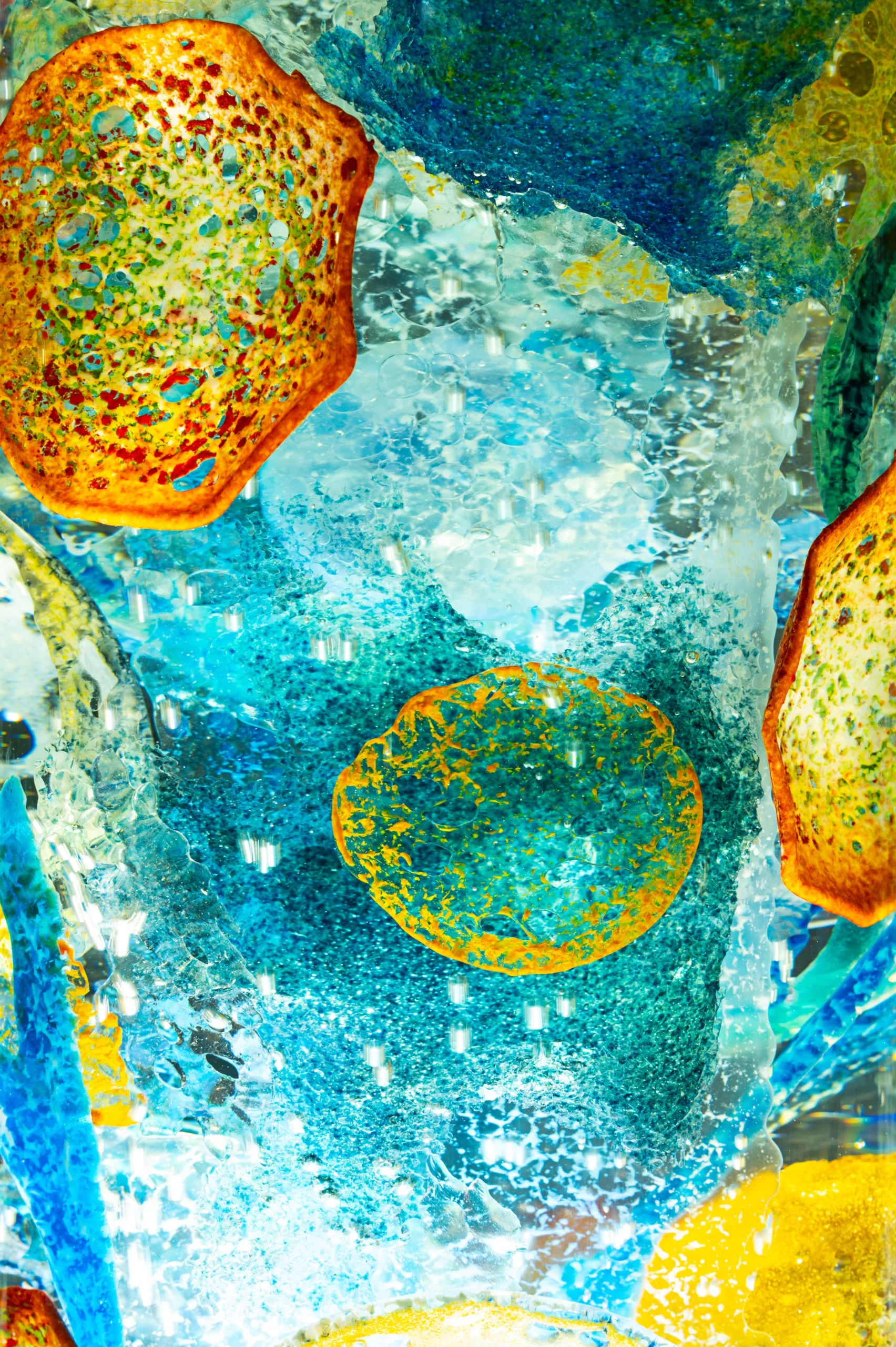 The Fantastical Sea Cores of Artist Alison Sigethy | Virginia Living