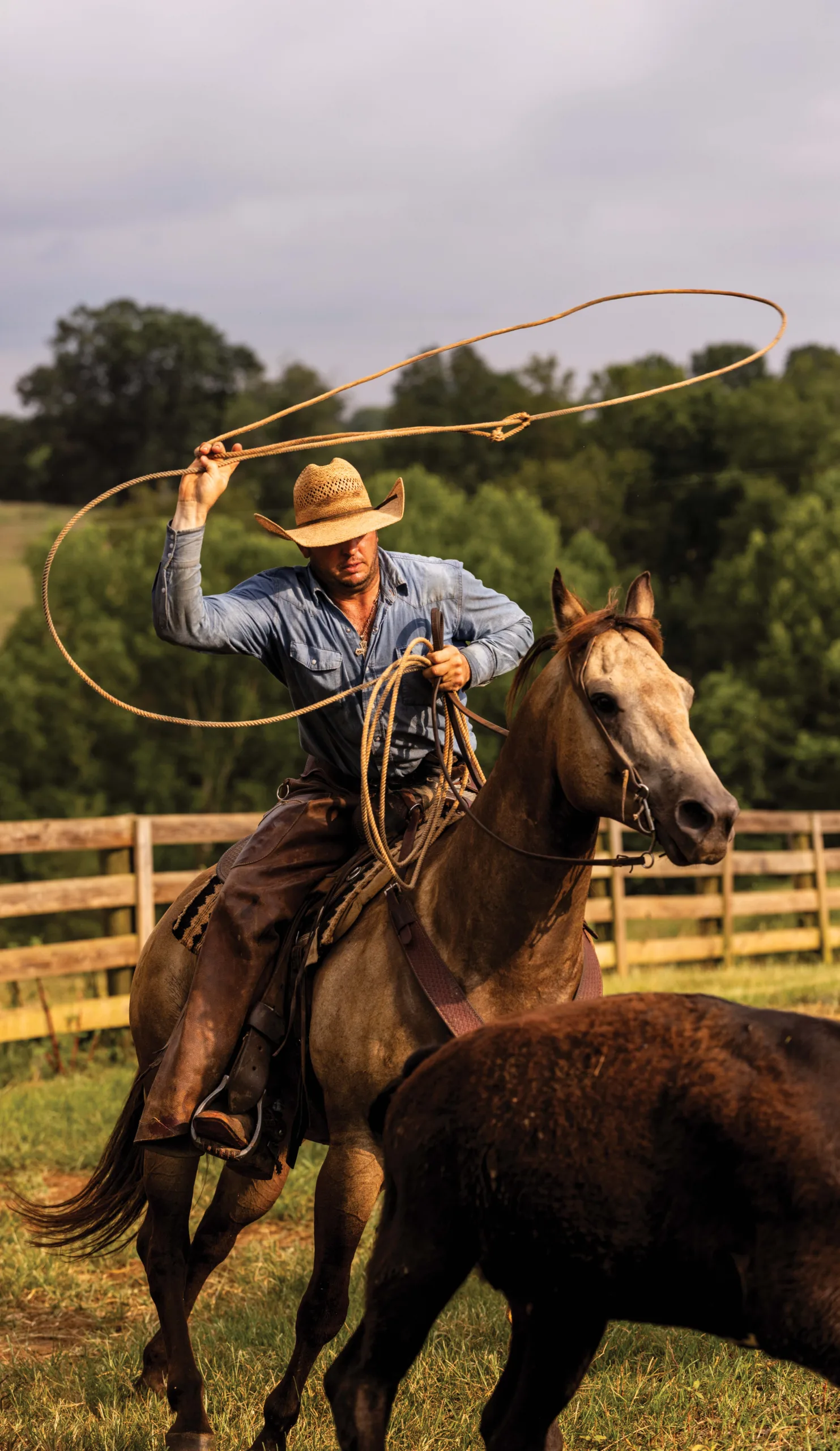 Cowboys in Virginia | Virginia Living